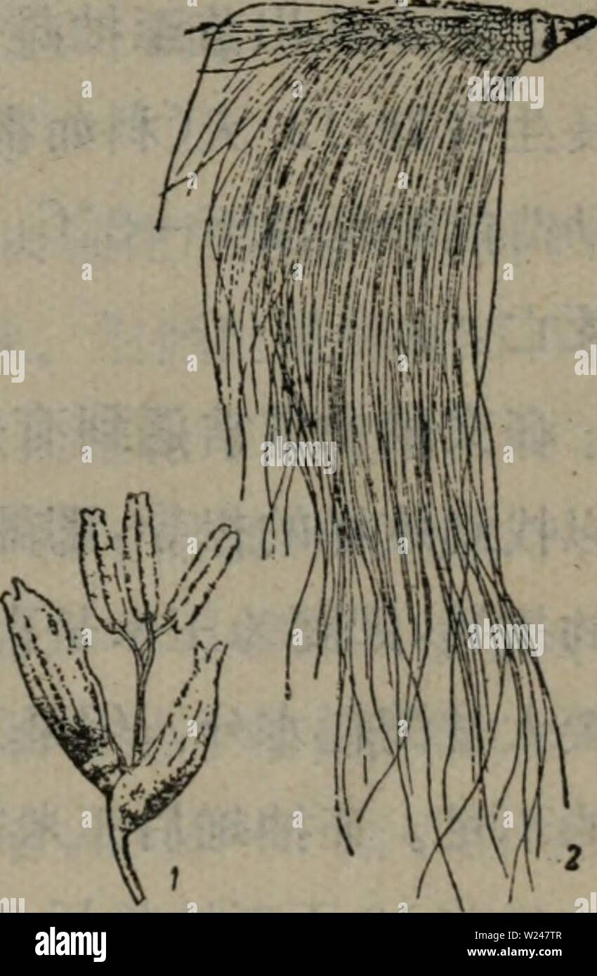 Ge tian hi-res stock photography and images - Alamy