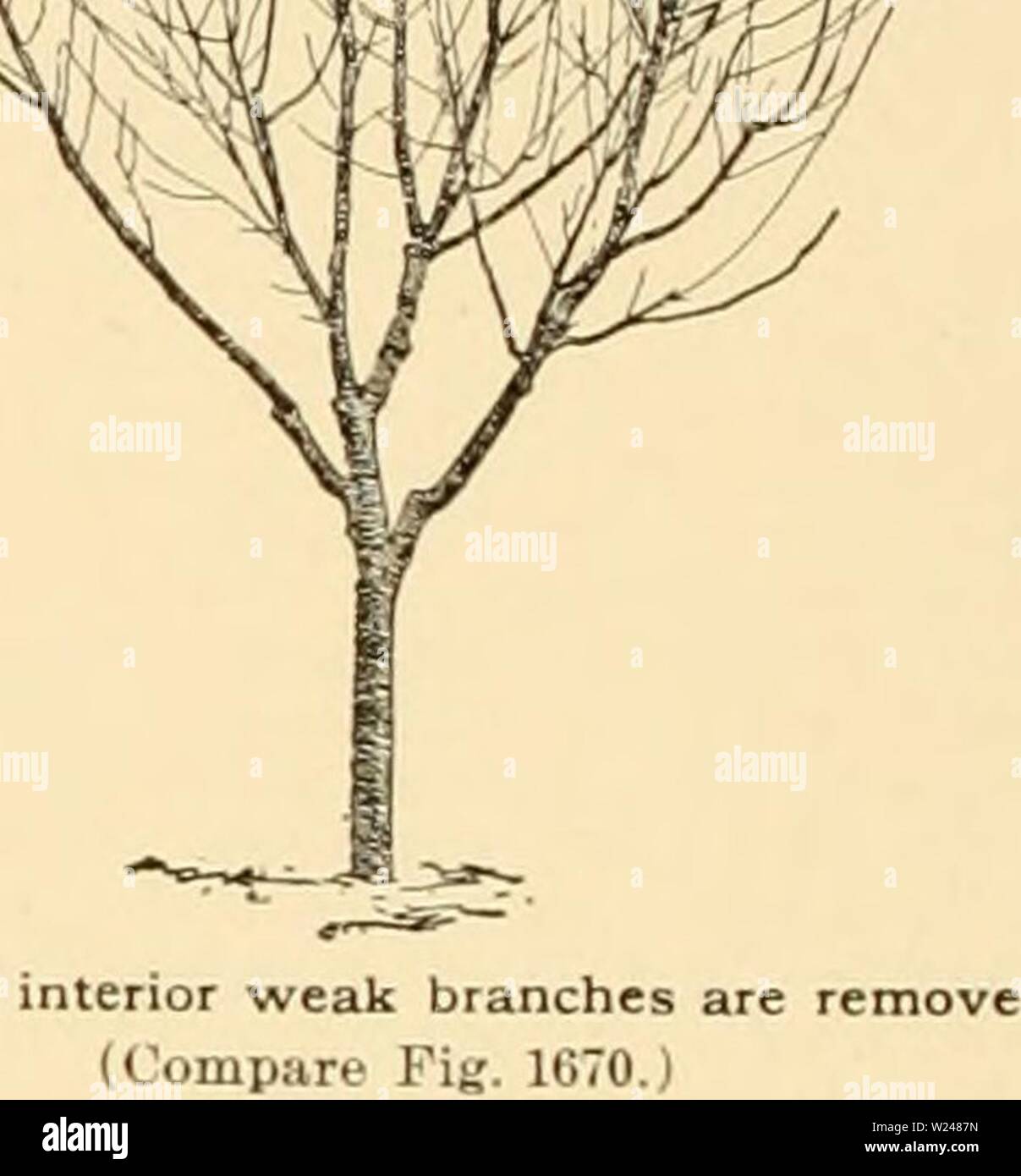 Year 1670 hi-res stock photography and images - Alamy