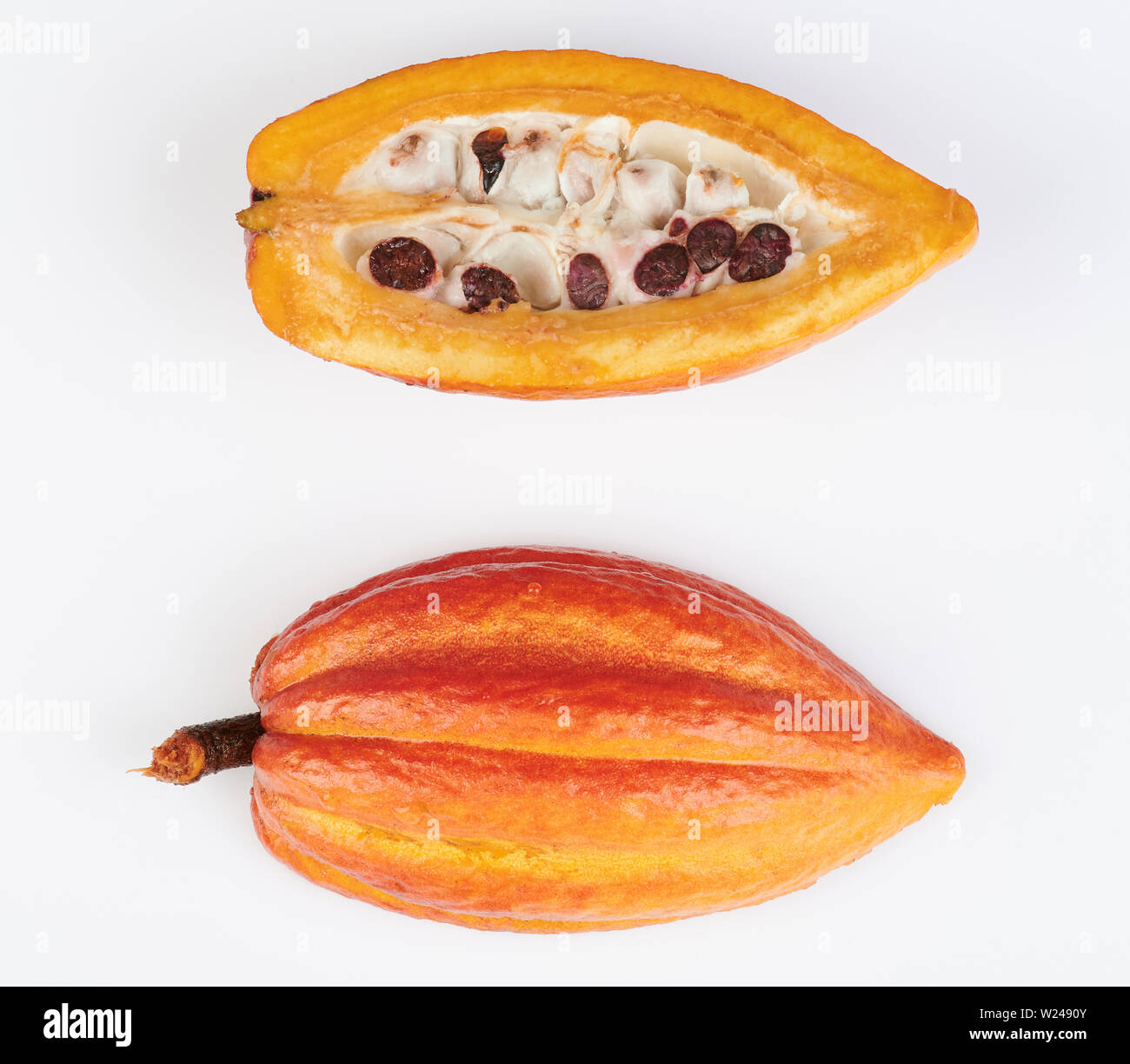Half sliced cacao pod isolated on white studio background Stock Photo ...