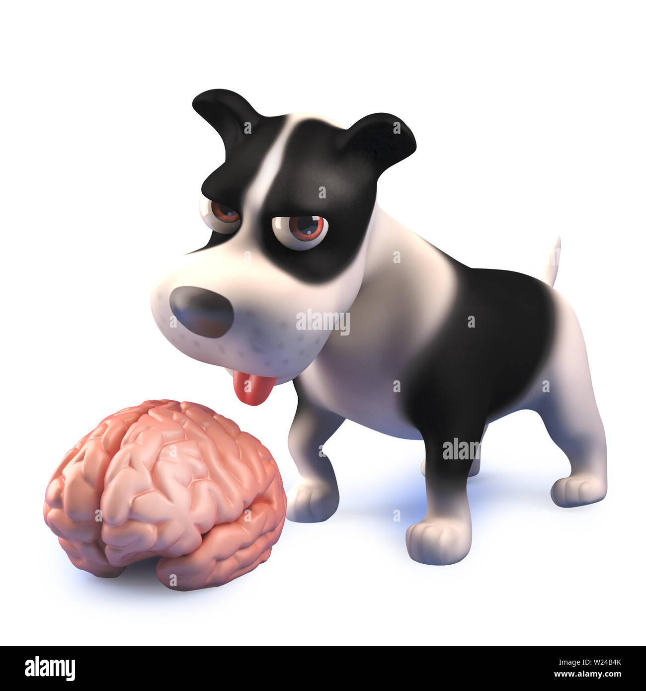 Rendered 3d image of a cartoon black and white puppy dog in 3d looking ...