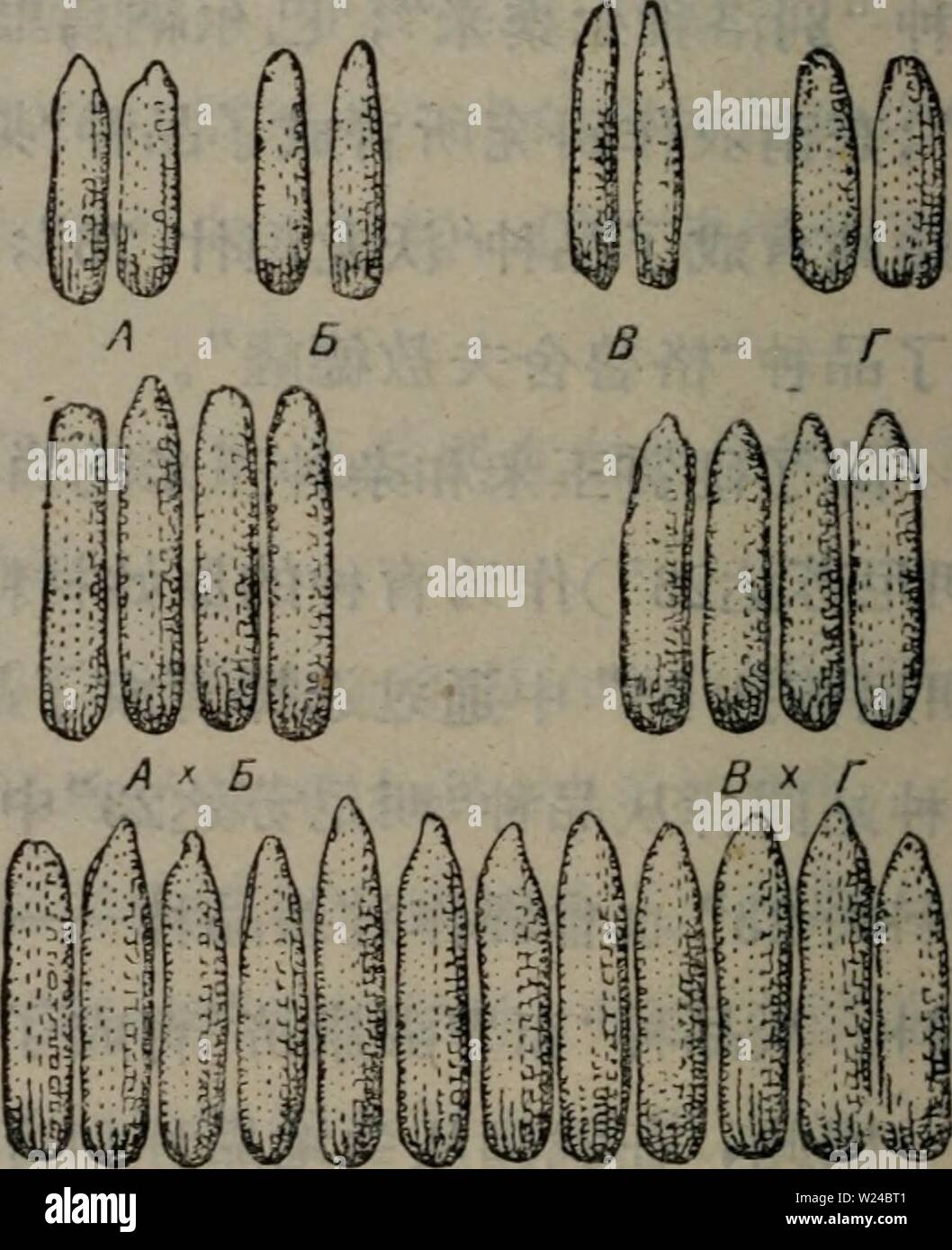 Ge tian hi-res stock photography and images - Alamy