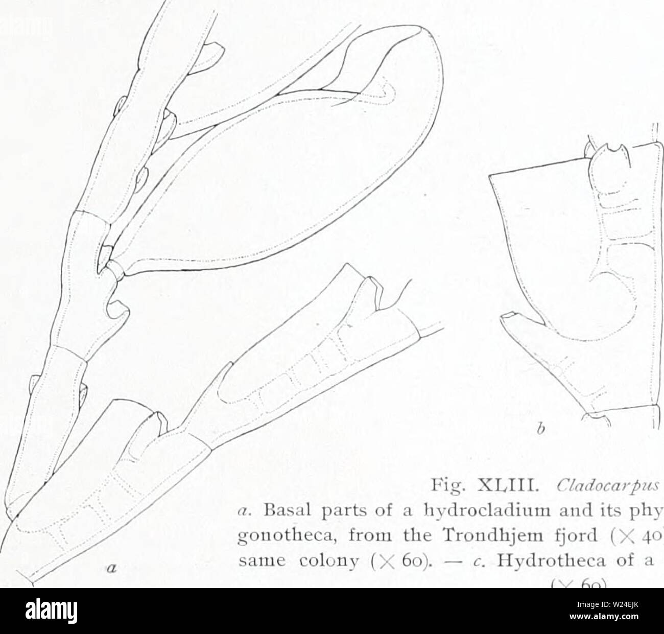 100 fathoms hi-res stock photography and images - Alamy