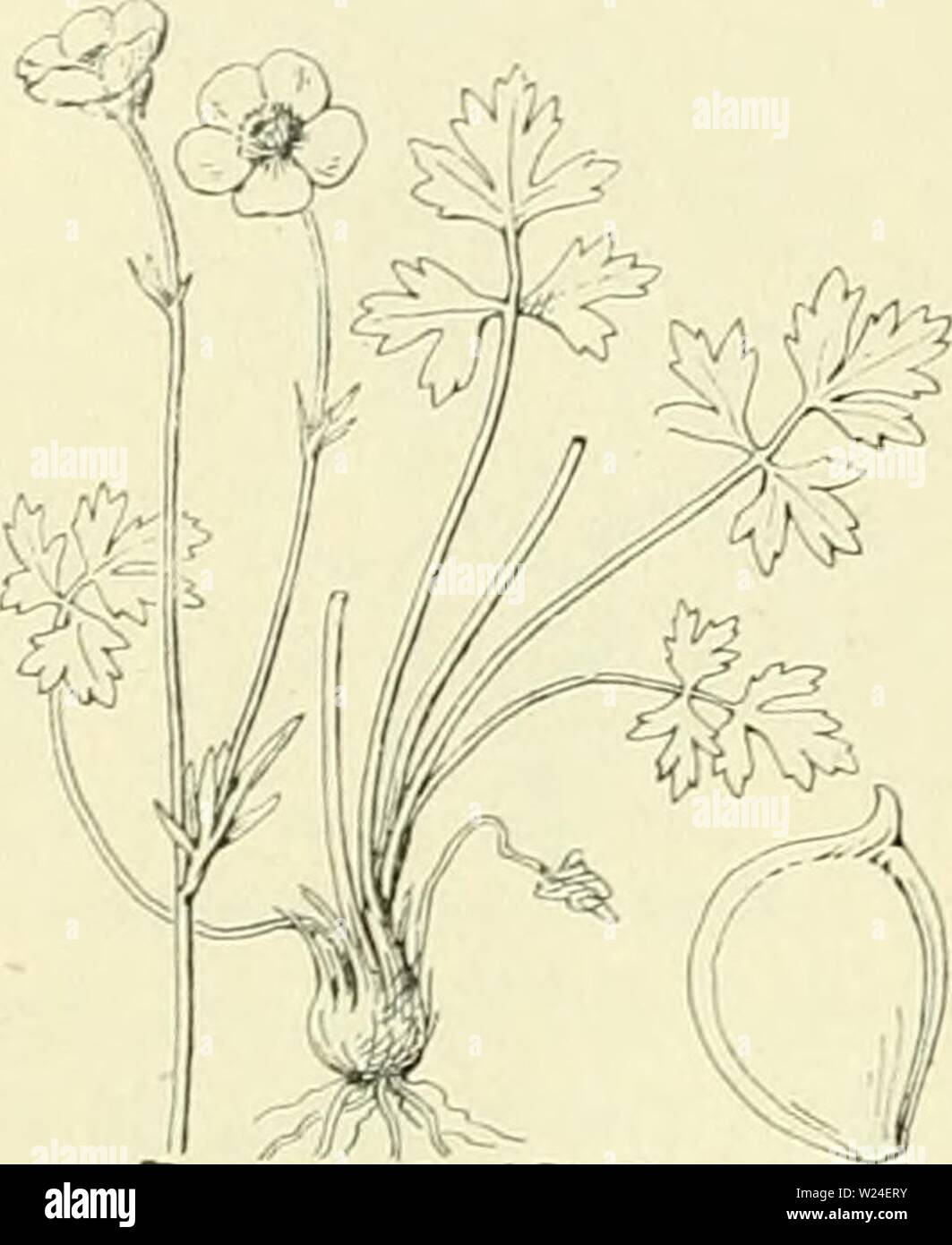 Ons europa hi-res stock photography and images - Alamy