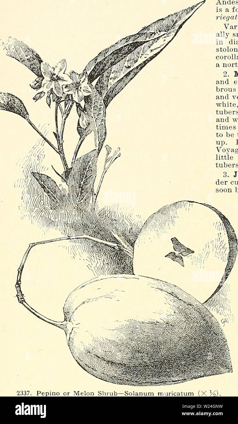 Warm temperate countries hi-res stock photography and images - Alamy