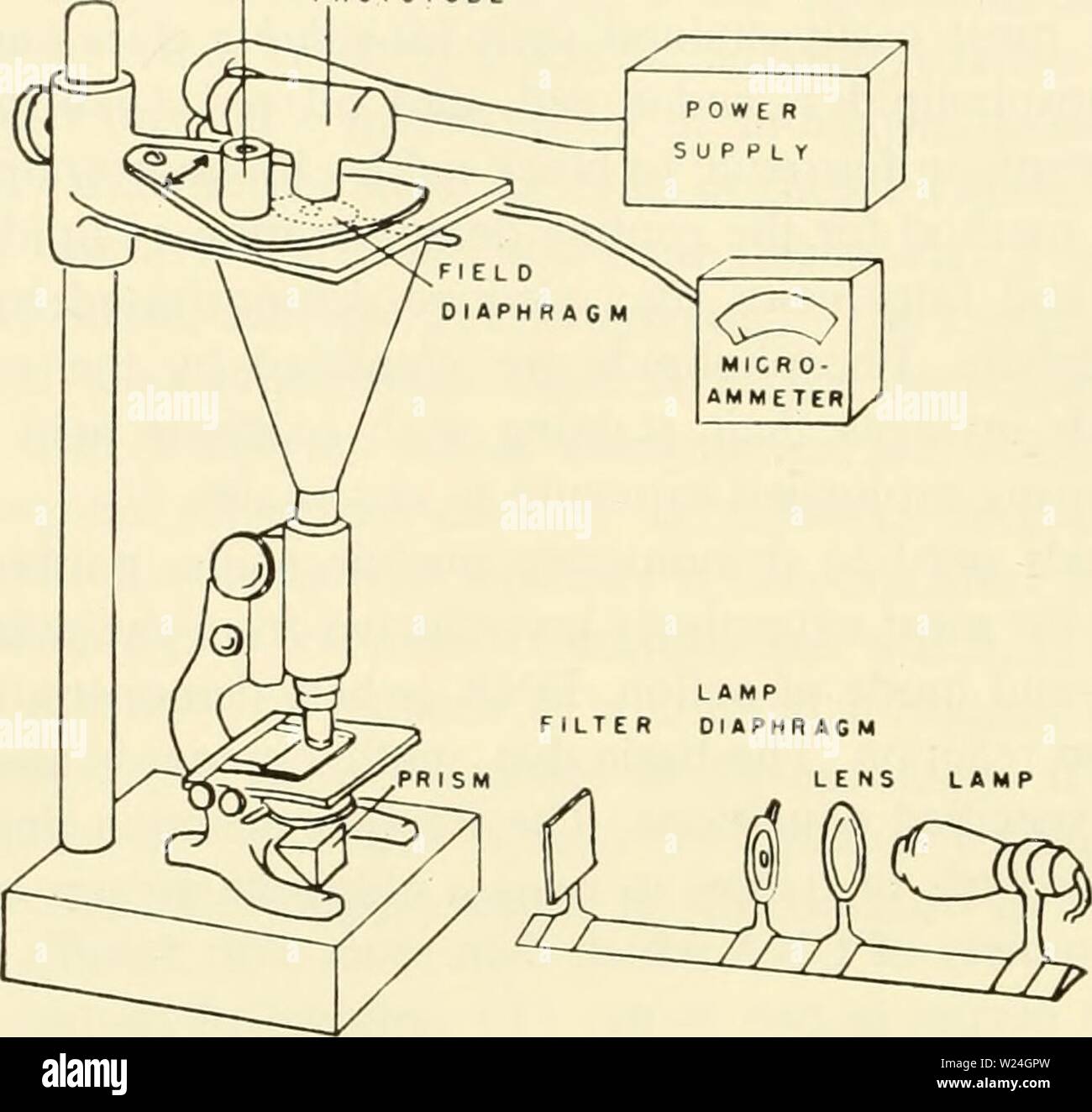 Phototube hi-res stock photography and images - Alamy