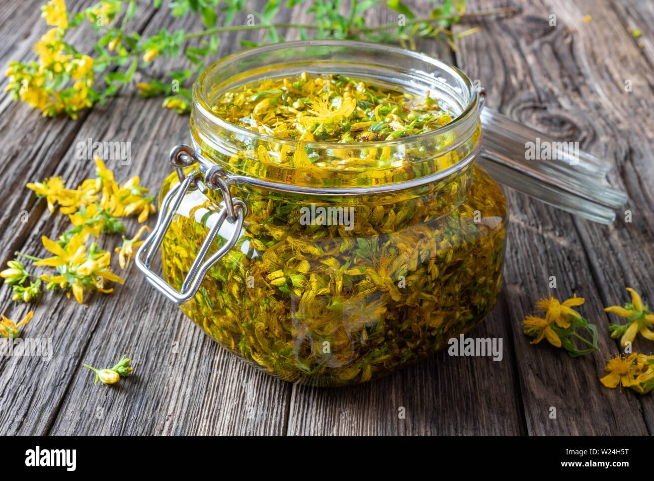 Preparation of St. John's wort oil from fresh blooming Hypericum ...