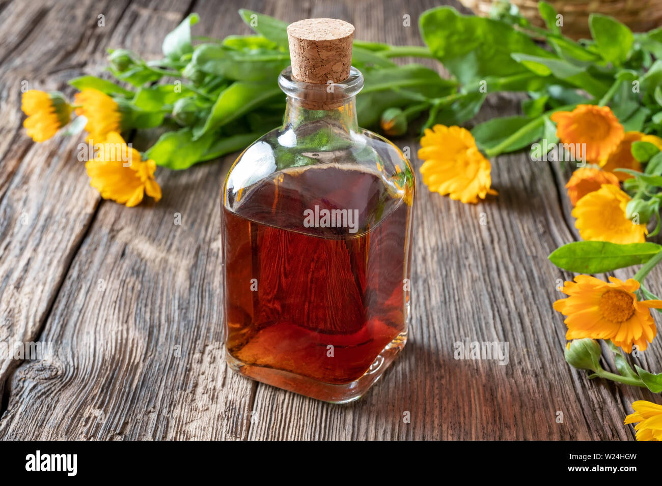 A transparent bottle of marigold tincture with fresh Calendula ...