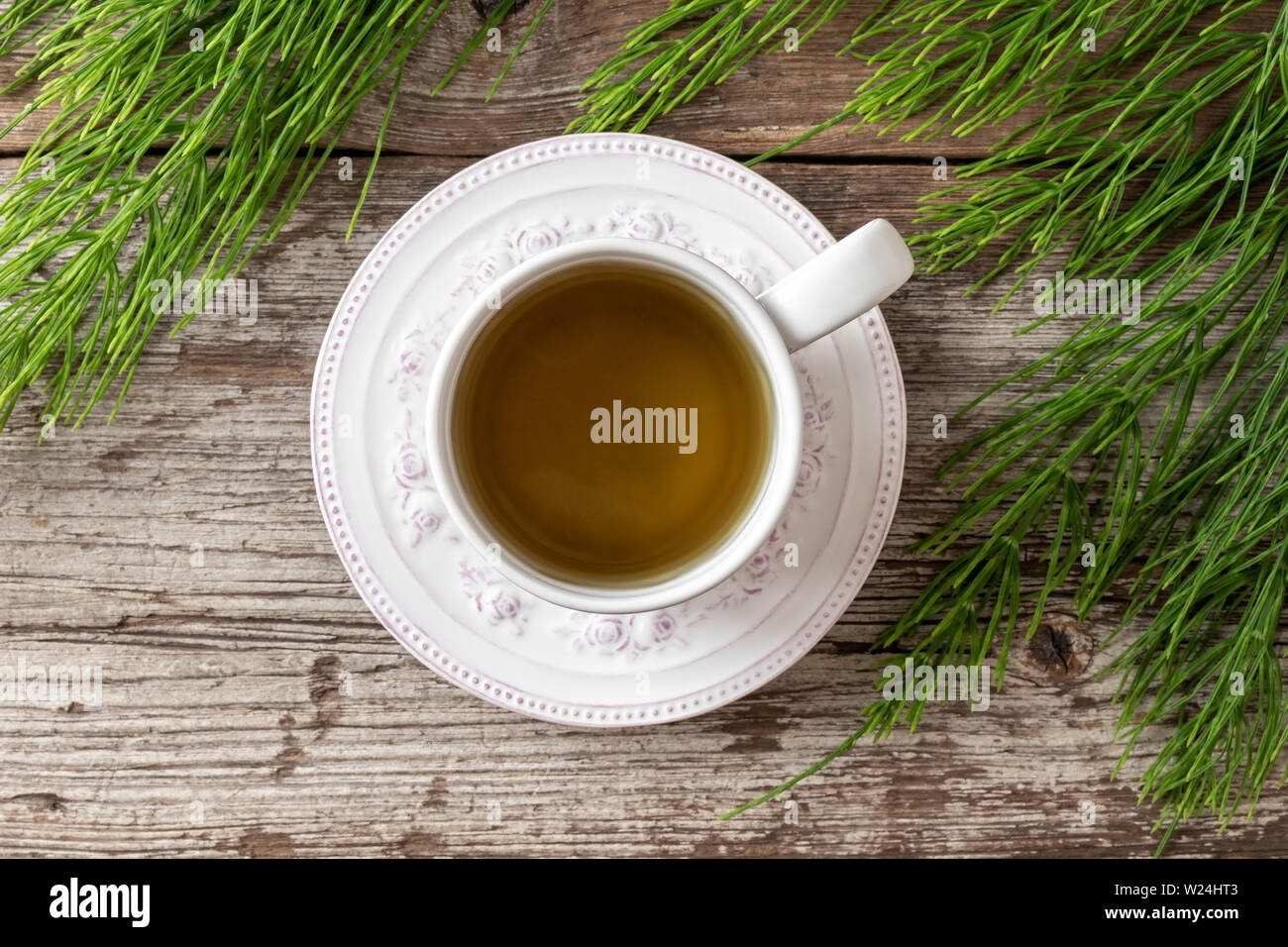 A cup of horsetail tea with fresh Equisetum arvense plant, top view ...