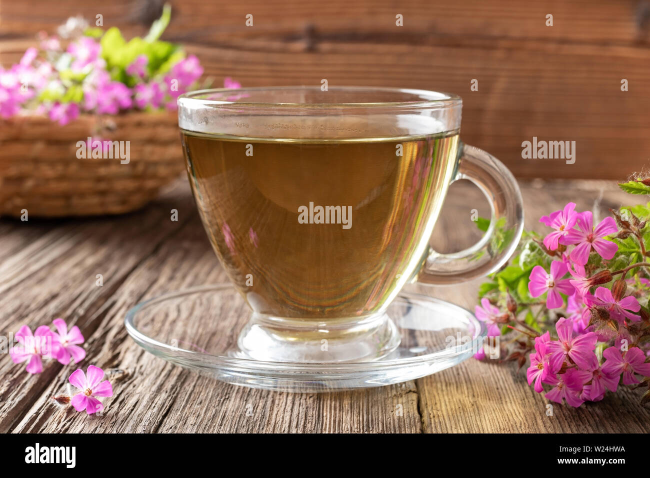A cup of herbal tea with fresh Geranium robertianum flowers Stock Photo ...