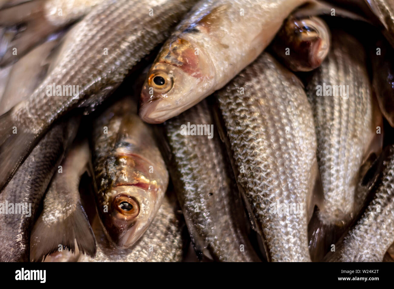Fresh fish in the market. Marine food Approach of scales and skin of ...