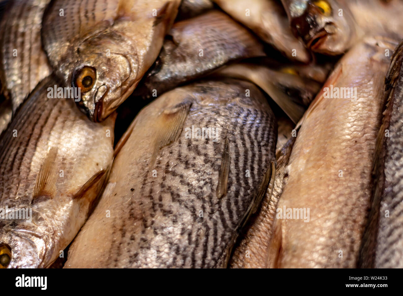 Fresh fish in the market. Marine food Approach of scales and skin of ...