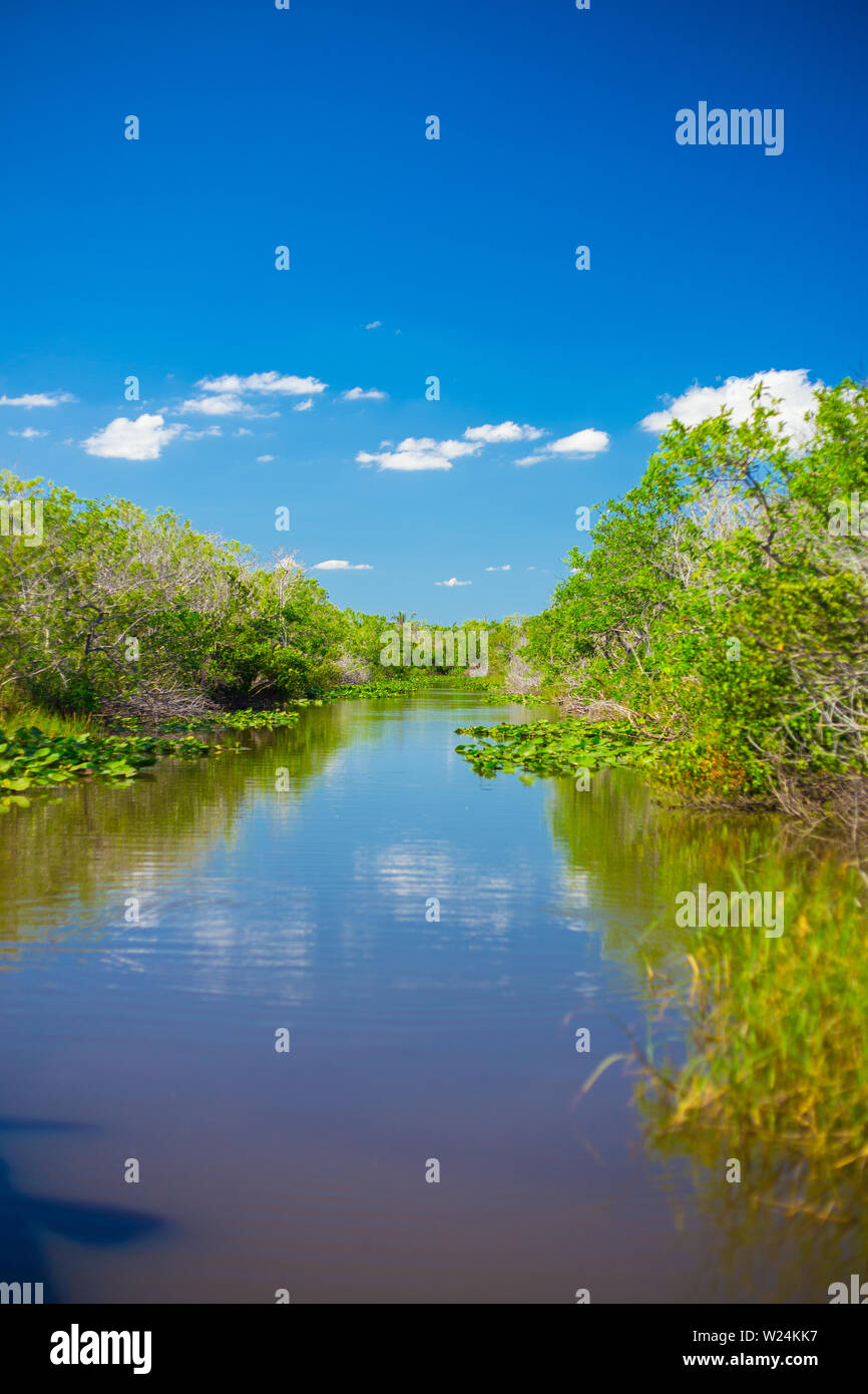 Everglades National Park. Swamps of Florida. Big Cypress National ...