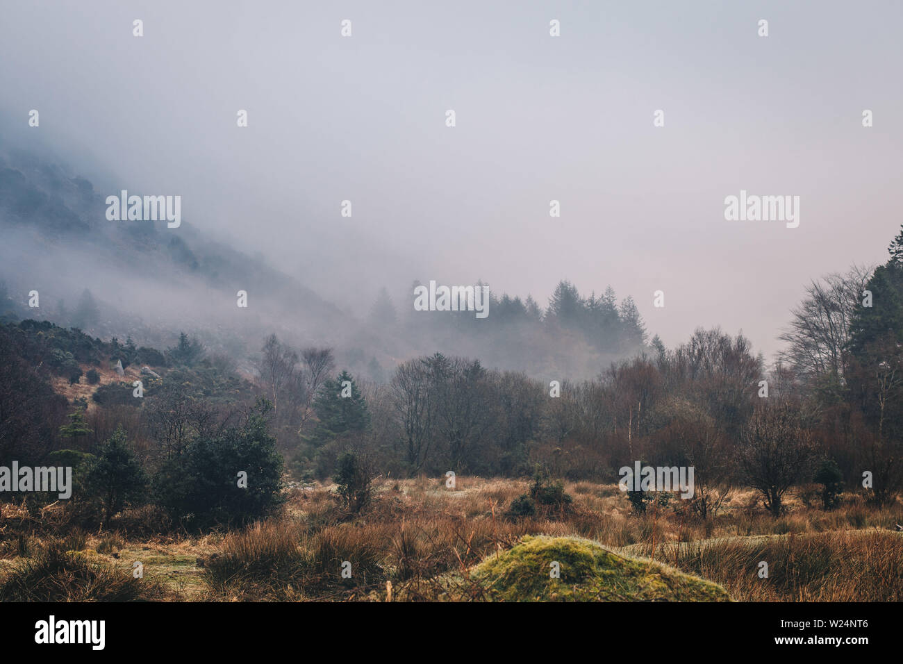 Misty morning in Glenmalure valley in Wicklow Mountains, Ireland Stock ...