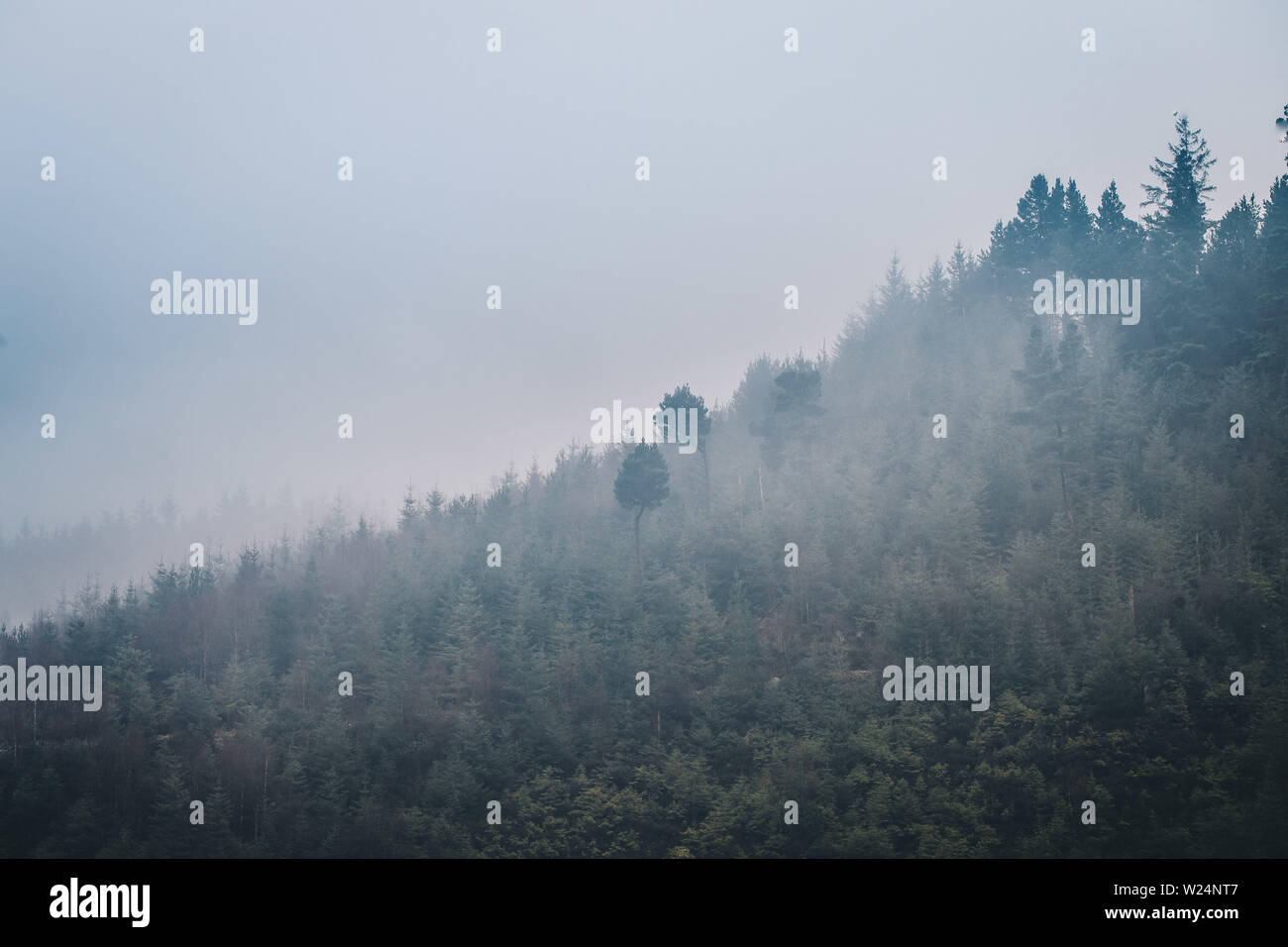 Glenmalure valley wicklow hi-res stock photography and images - Alamy