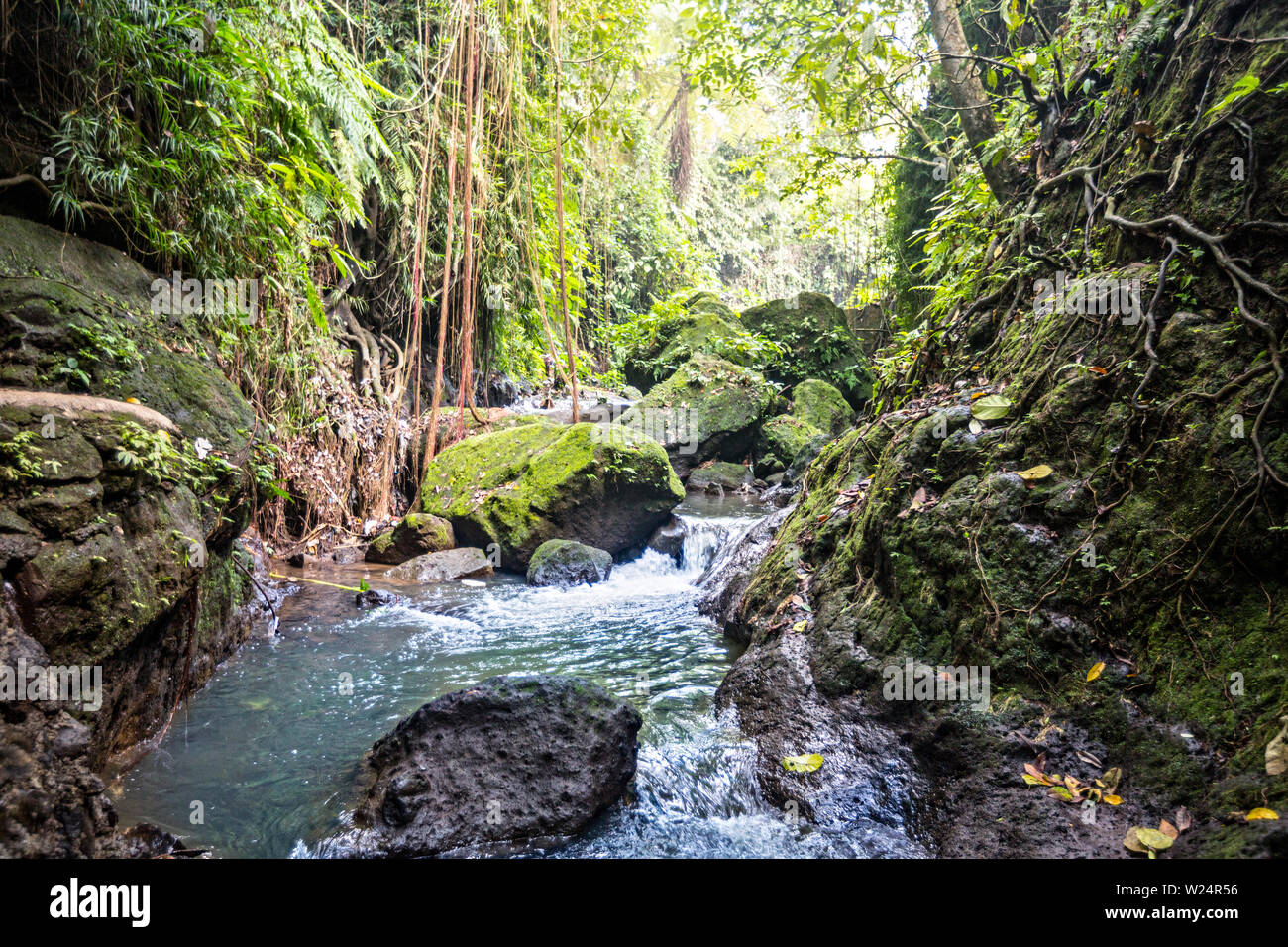 Beautiful stream in wild nature hi-res stock photography and images - Alamy
