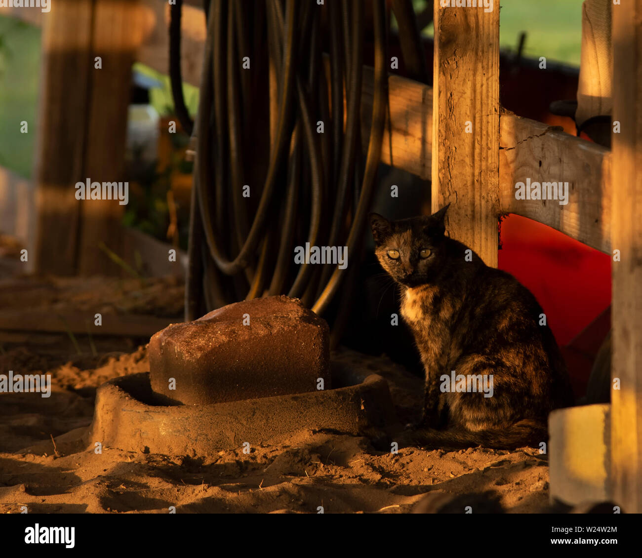 Salt block hi-res stock photography and images - Alamy