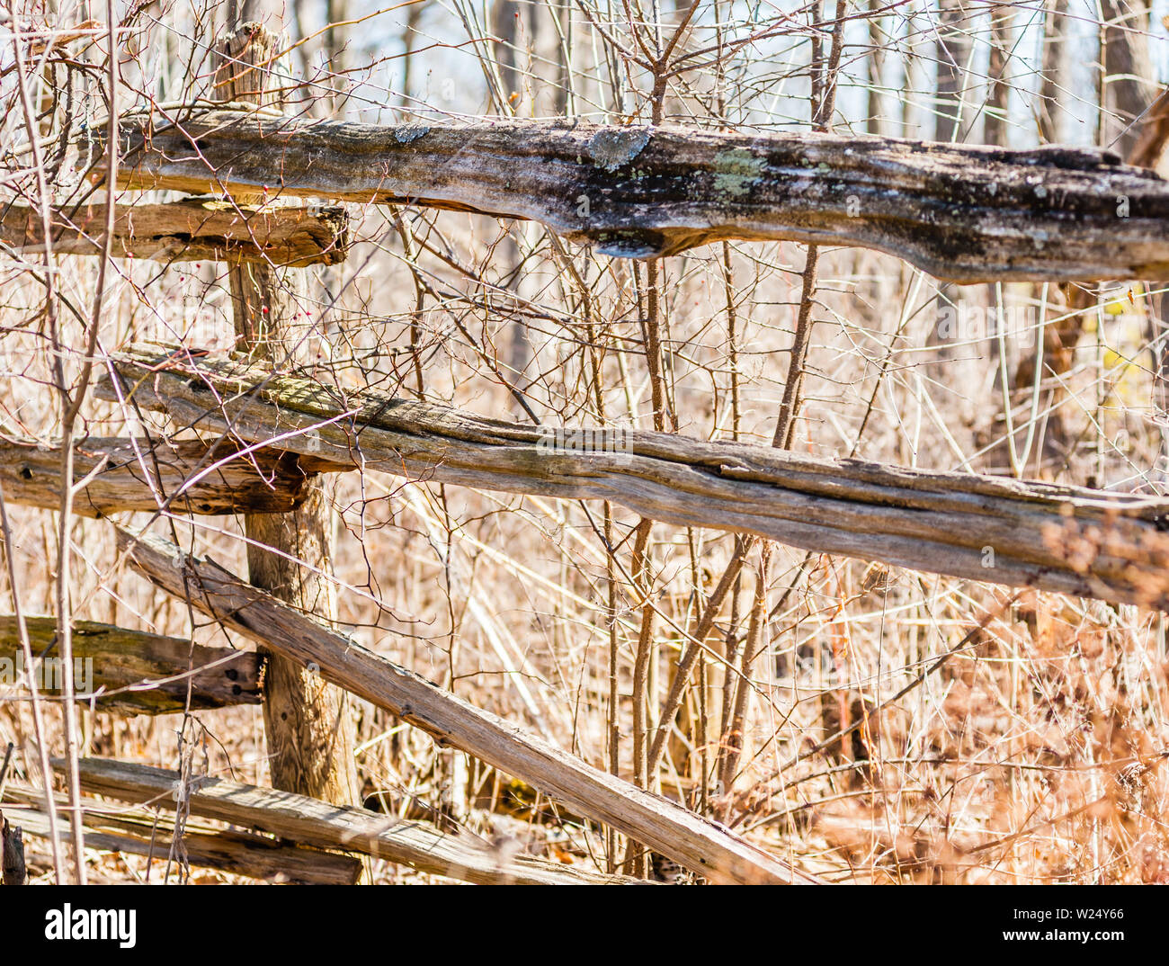 Weathered fence post hi-res stock photography and images - Alamy