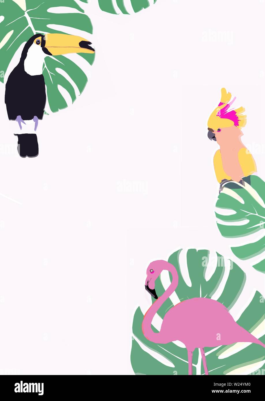 Tropical birds background with text space Stock Photo - Alamy