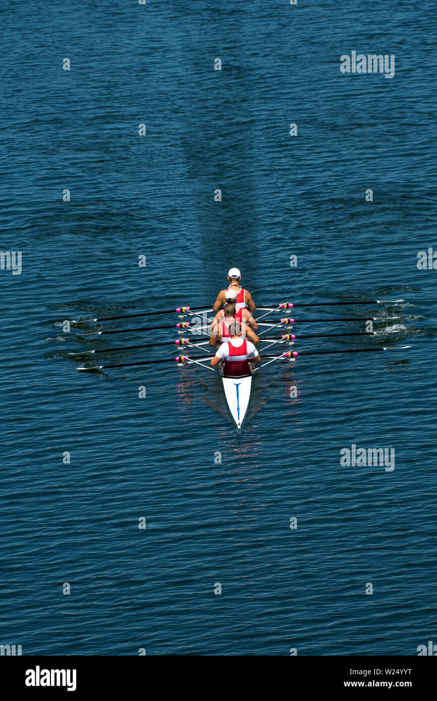 Four Male Rowers In A Quad Racing Boat With Synchronous Oar Stroke ...