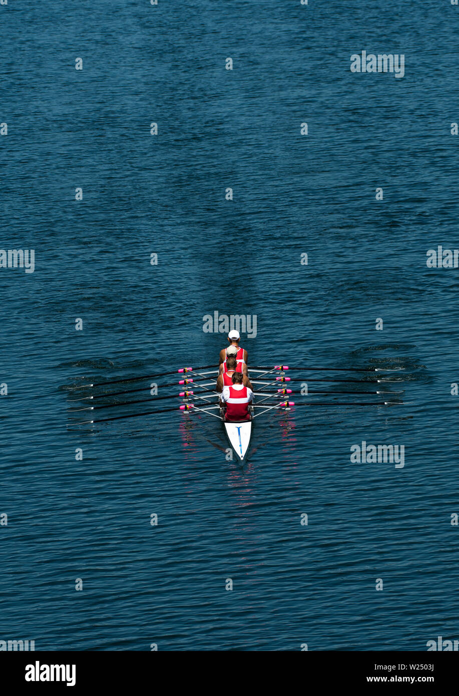 Four Male Rowers In A Quad Racing Boat With Synchronous Oar Stroke ...
