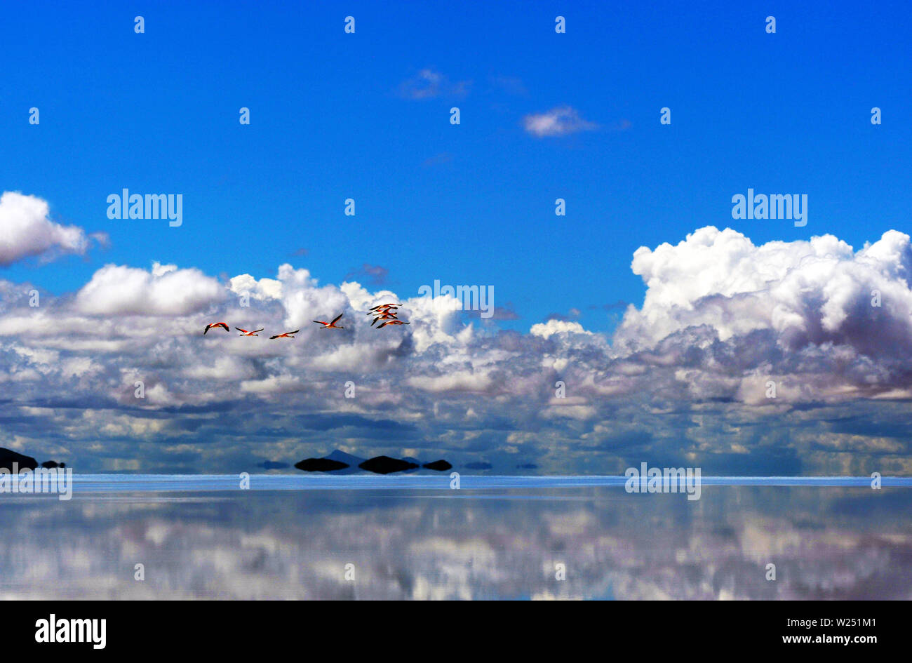 Uyuni Salt Flats rain season Stock Photo - Alamy