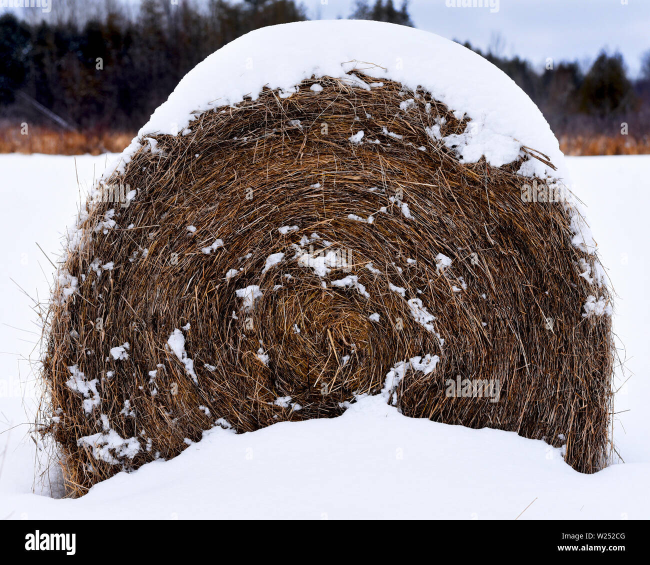Ontario winter snowy landscapes hi-res stock photography and images - Alamy