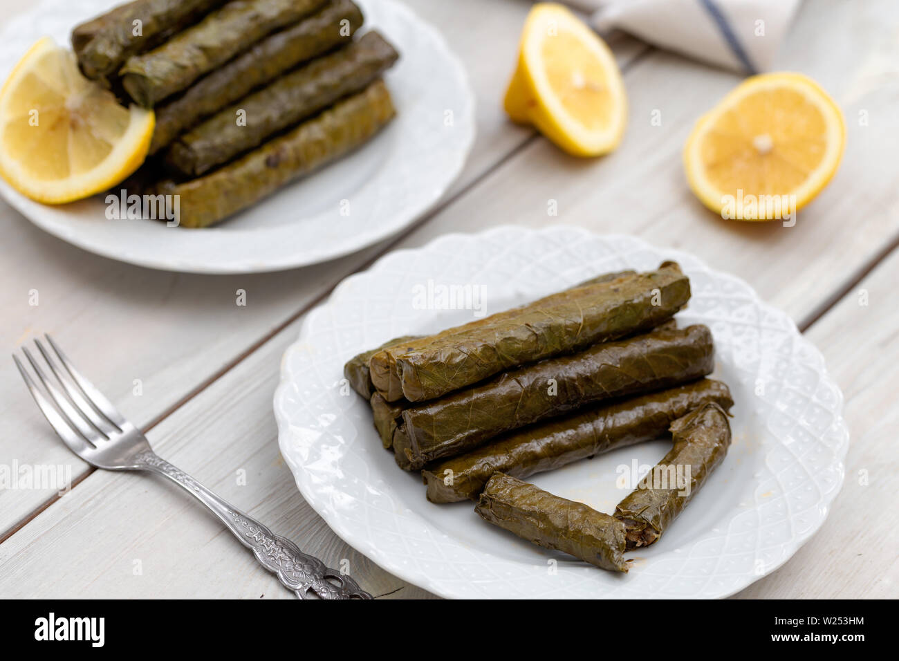 Sarma, stuffed grape leaves in a plate, traditional turkish cuisine ...