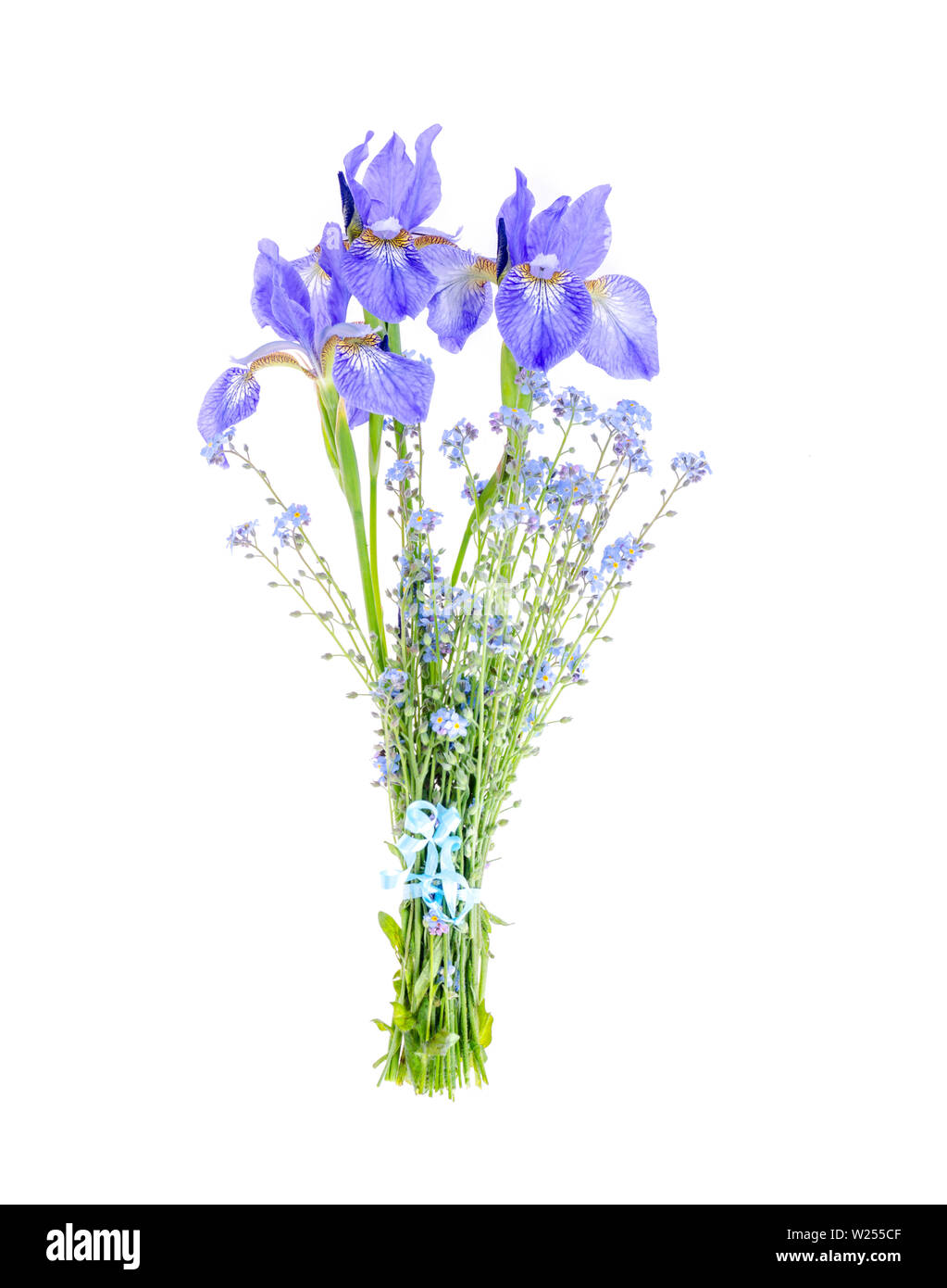 Small bouquet of blue garden flowers. Photo Stock Photo - Alamy