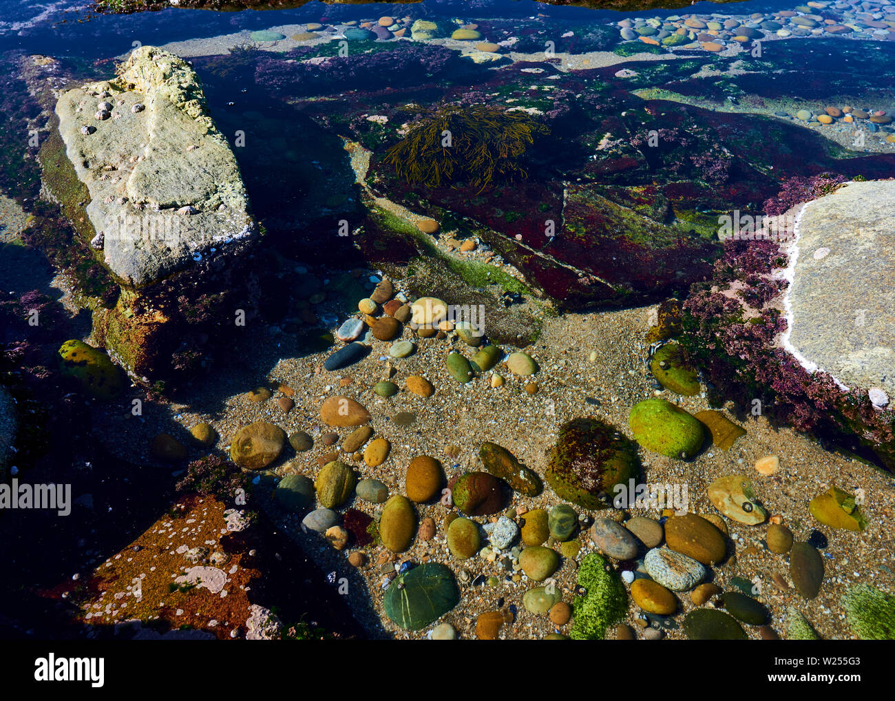 Rock on bottom clear river hi-res stock photography and images - Alamy