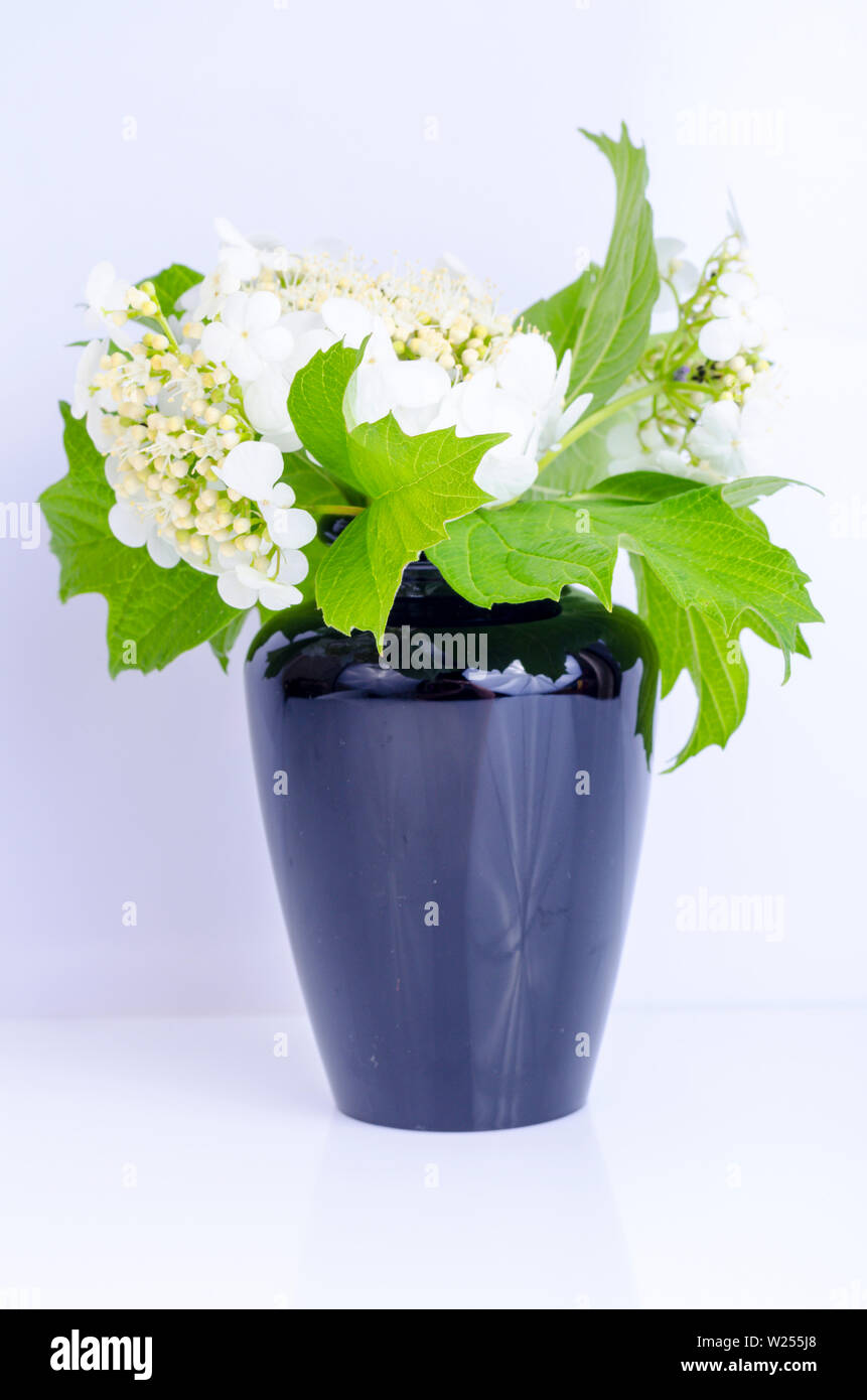 Small vase with sprigs of white flowers with green leaves Stock Photo ...