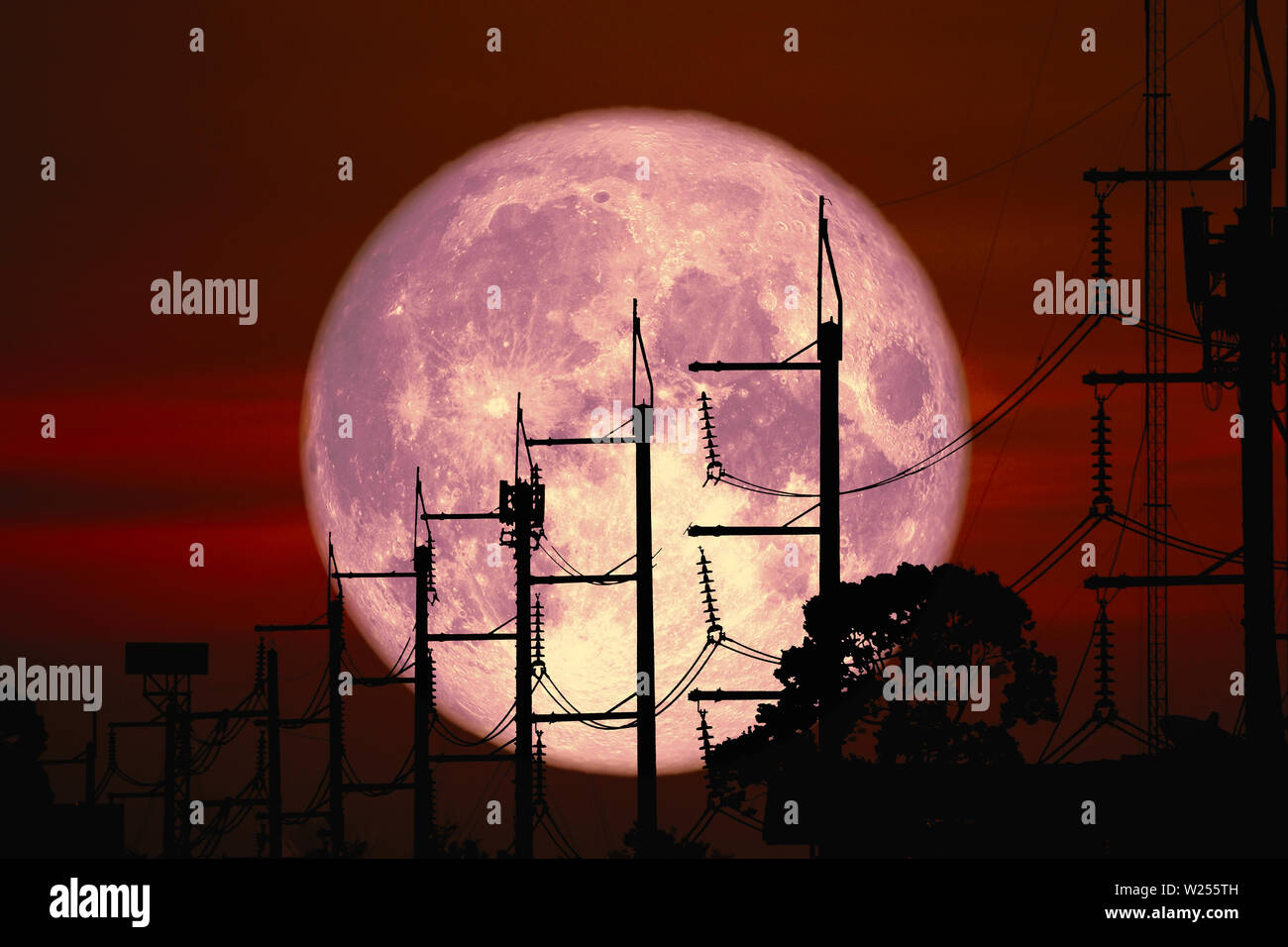 Full Harvest Moon back on silhouette power electric line and pole on ...