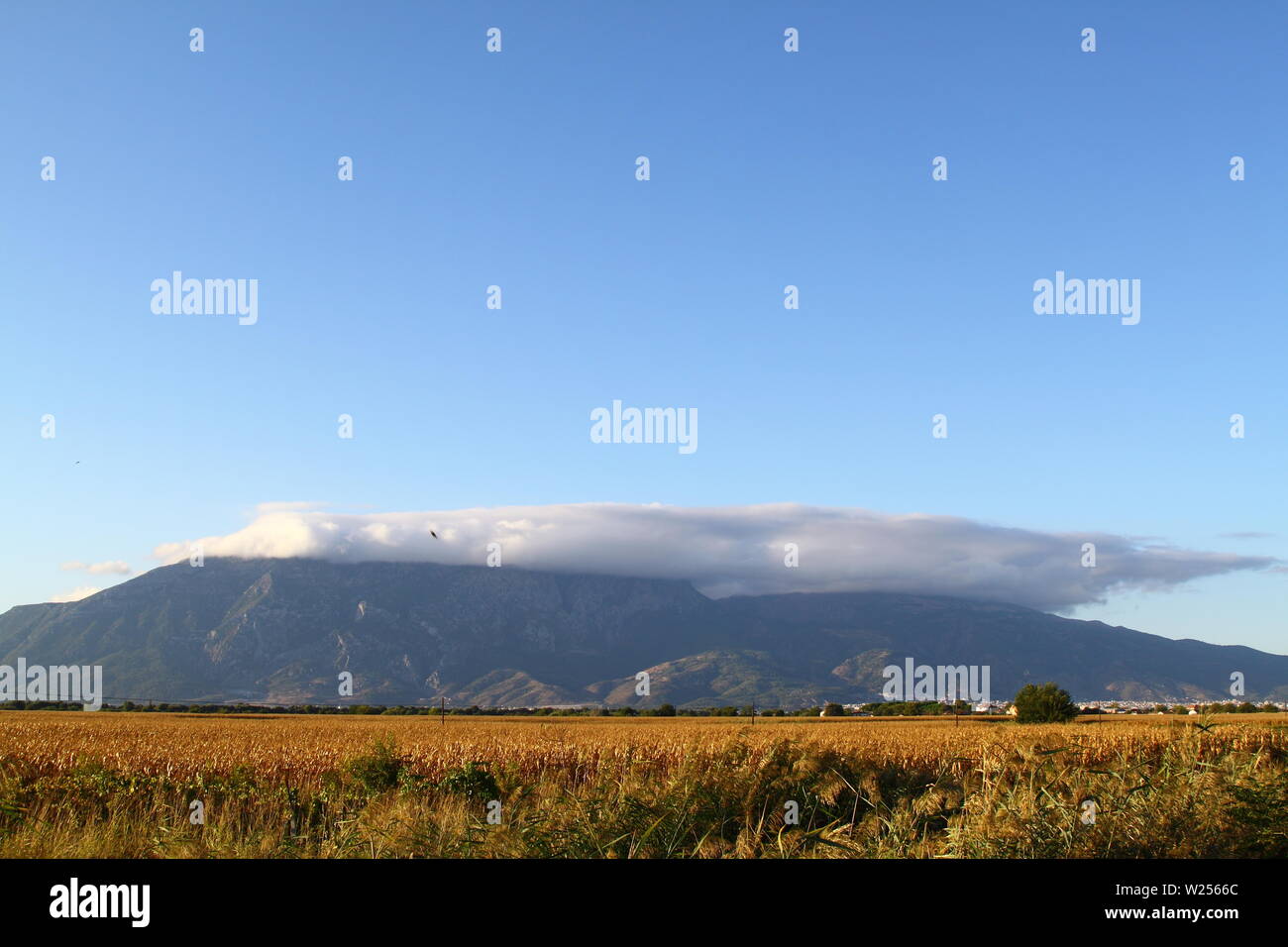 Red sea ridge aerial hi-res stock photography and images - Alamy