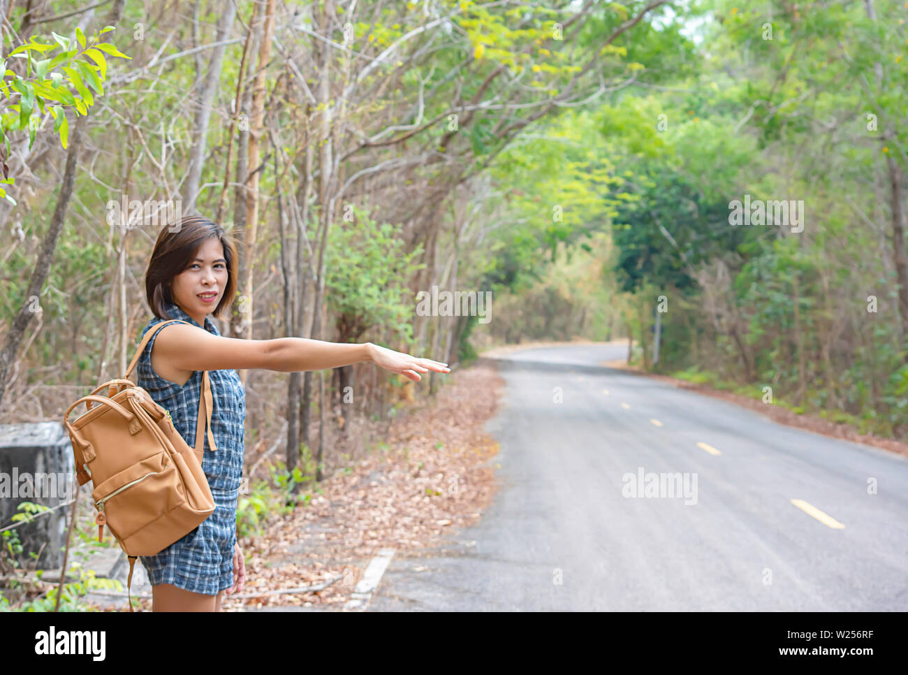 Women raise their arm waving car on the road with the tree cover Stock ...