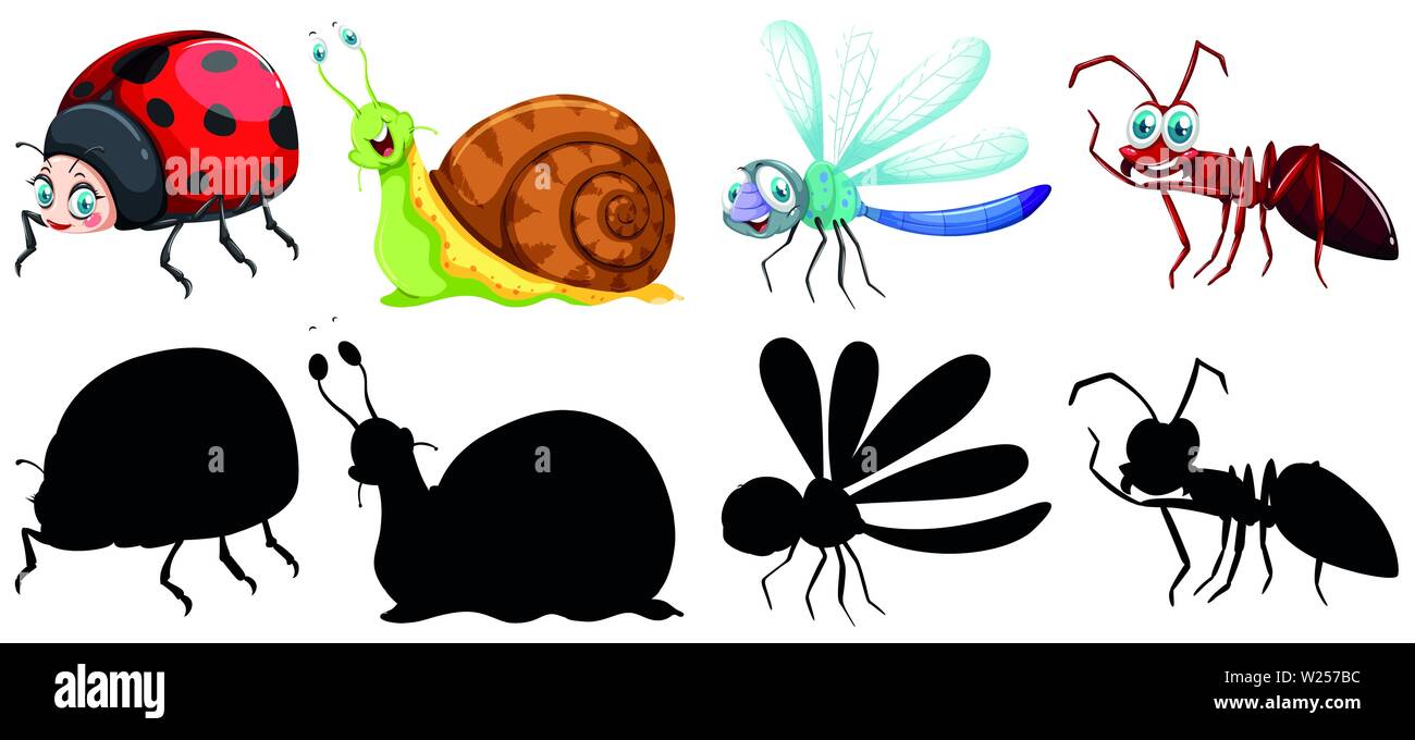Set of insect character illustration Stock Vector Image & Art - Alamy