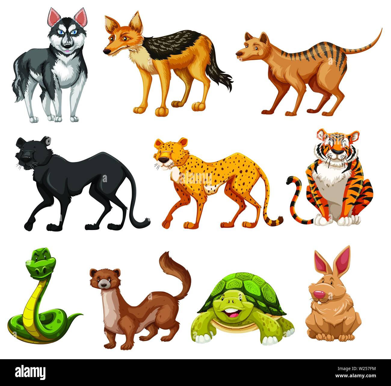Set of animal character illustration Stock Vector Image & Art - Alamy
