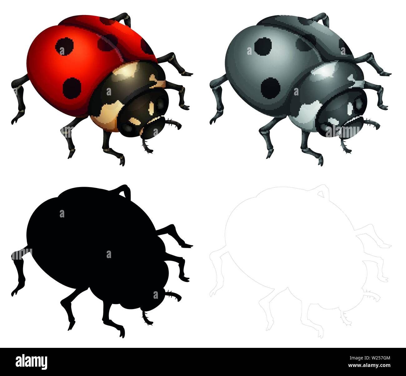 Set of lady bugs illustration Stock Vector Image & Art - Alamy