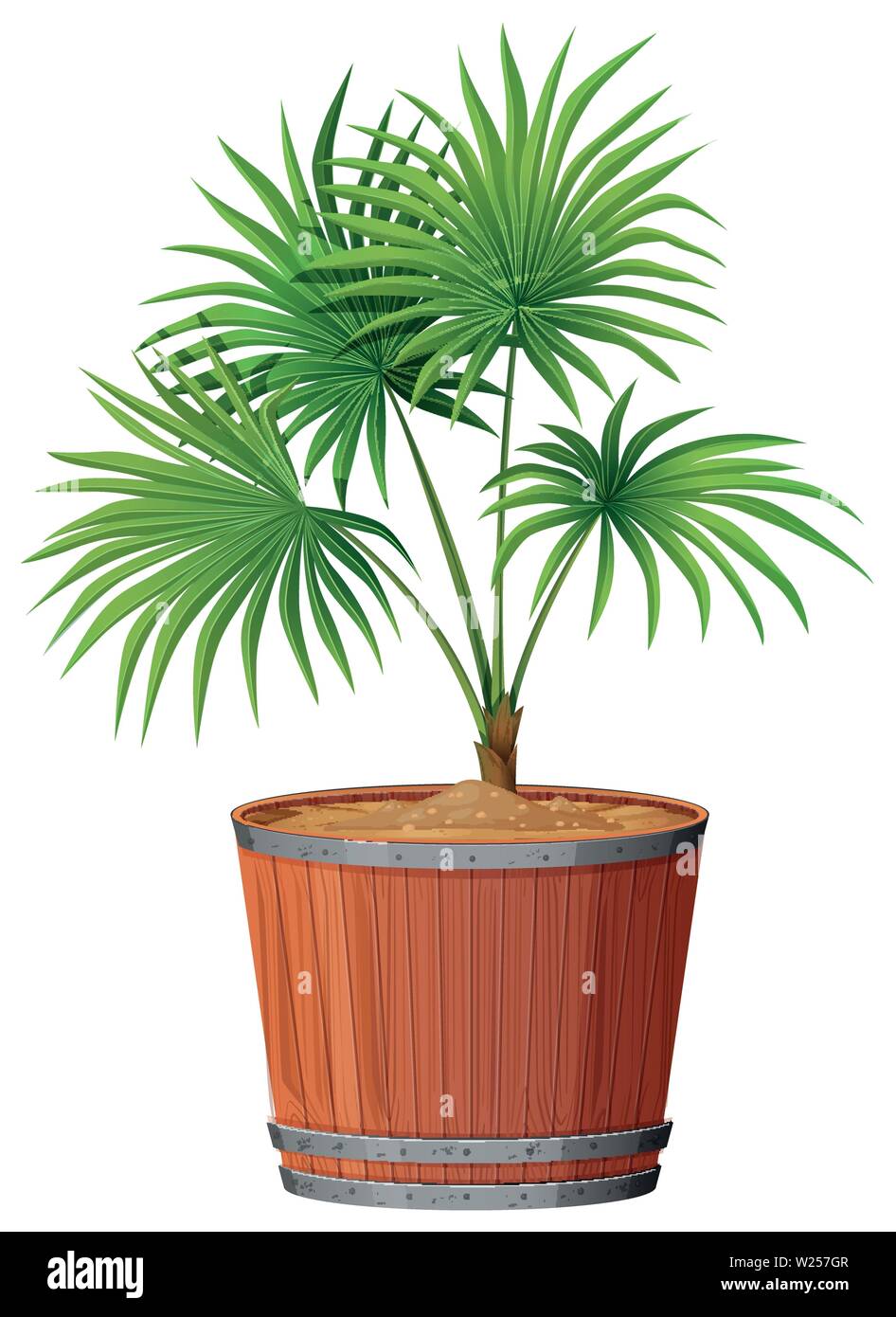 Large pot plant Stock Vector Images - Alamy