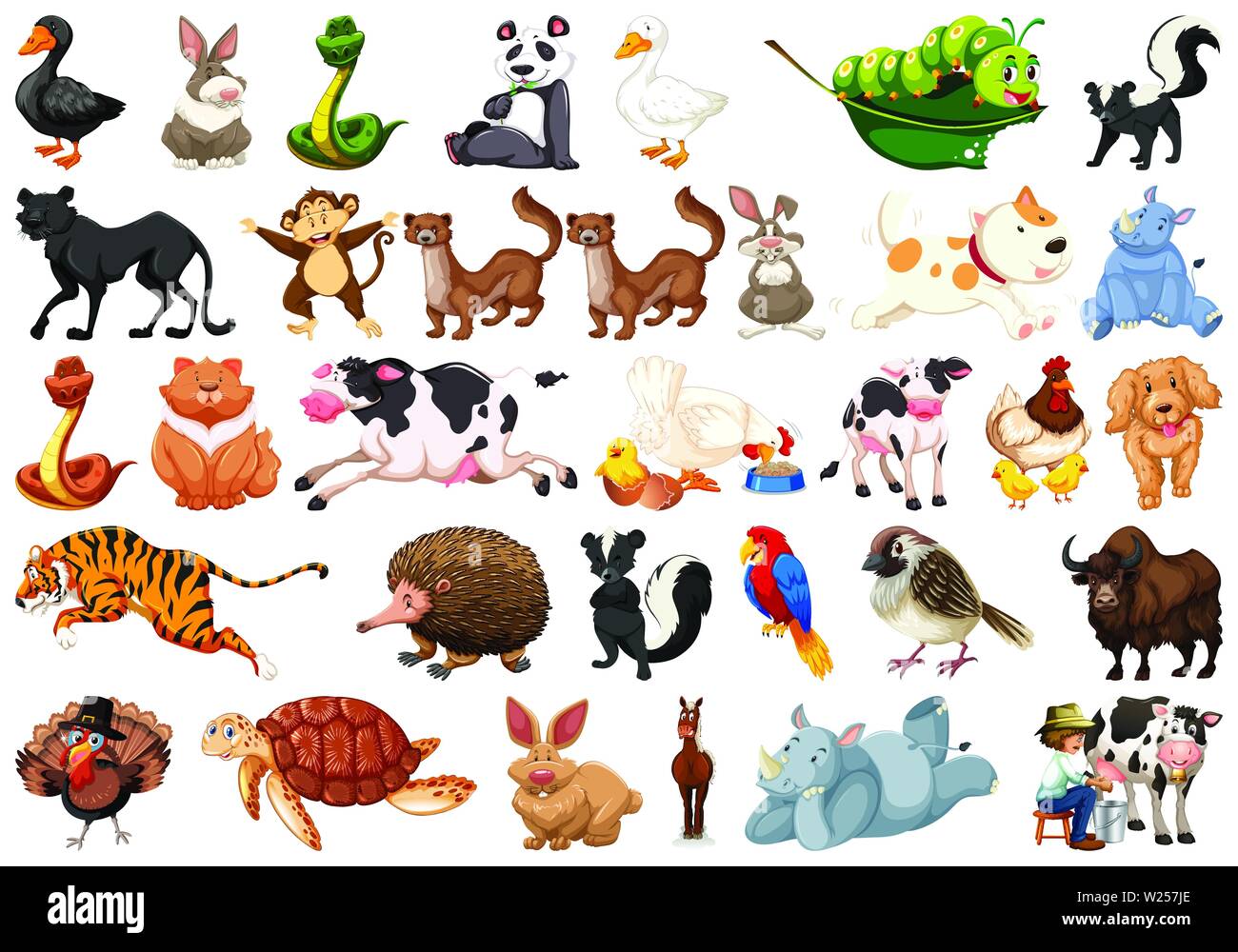 Large set of animals illustration Stock Vector Image & Art - Alamy