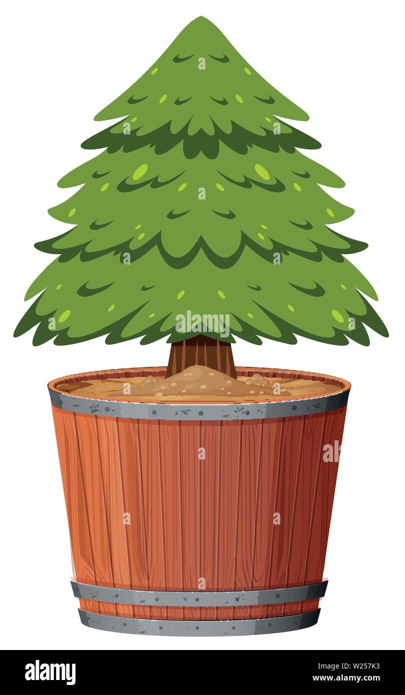 A pine tree in pot illustration Stock Vector Image & Art - Alamy