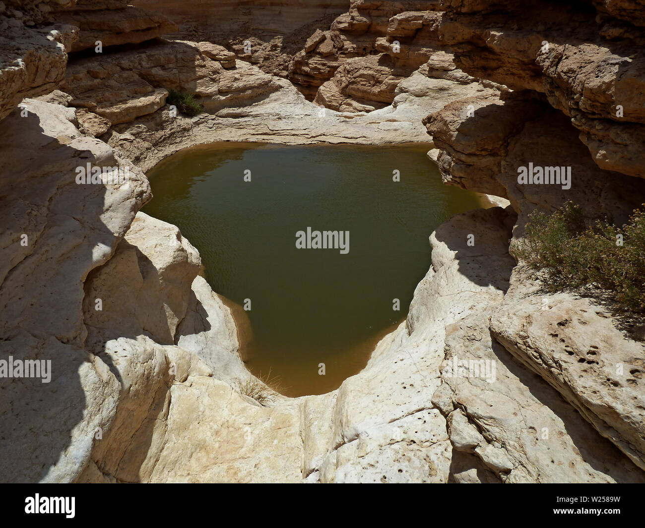 Temporary rainfall ponds in the eroded limestone cavities in the desert ...