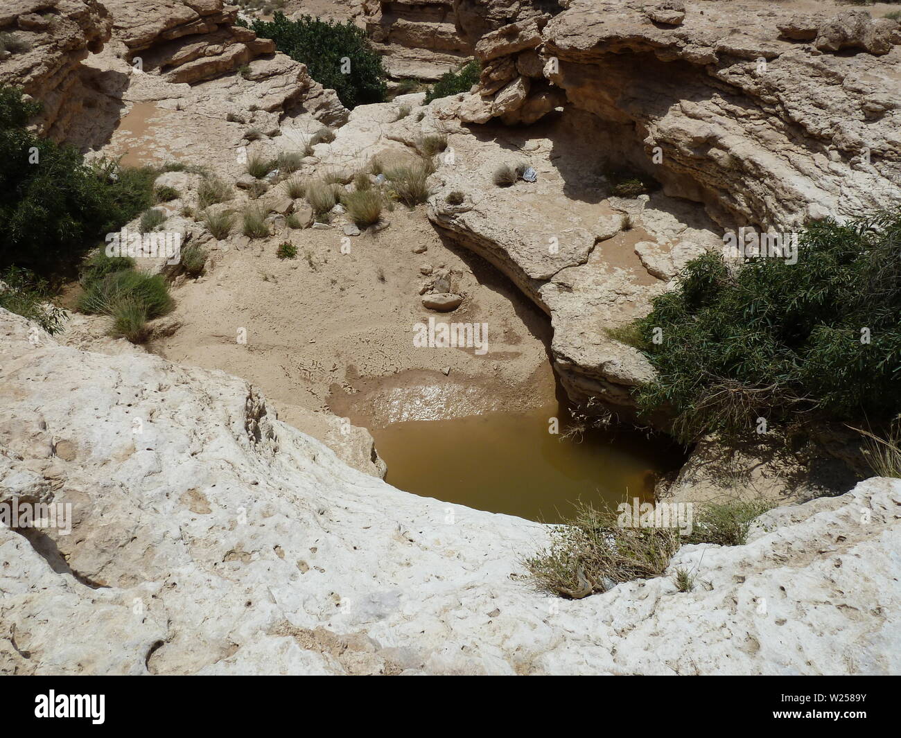 Temporary rainfall ponds in the eroded limestone cavities in the desert ...