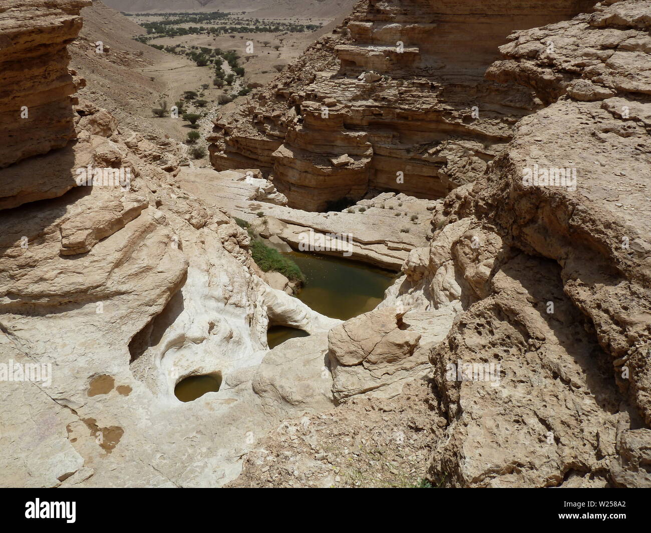 Temporary rainfall ponds in the eroded limestone cavities in the desert ...