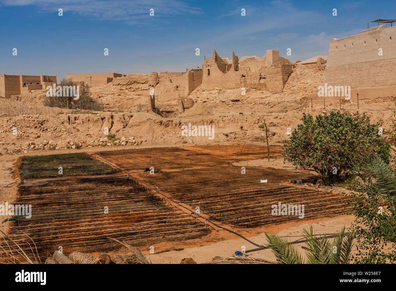 An organic farm in Wadi Hanifa near historic Ad Diriyah, Riyadh Stock ...