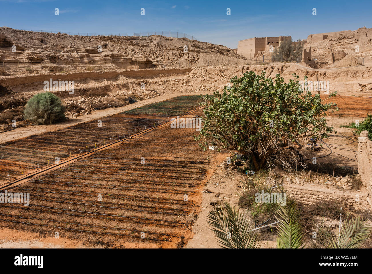 An organic farm in Wadi Hanifa near historic Ad Diriyah, Riyadh Stock ...