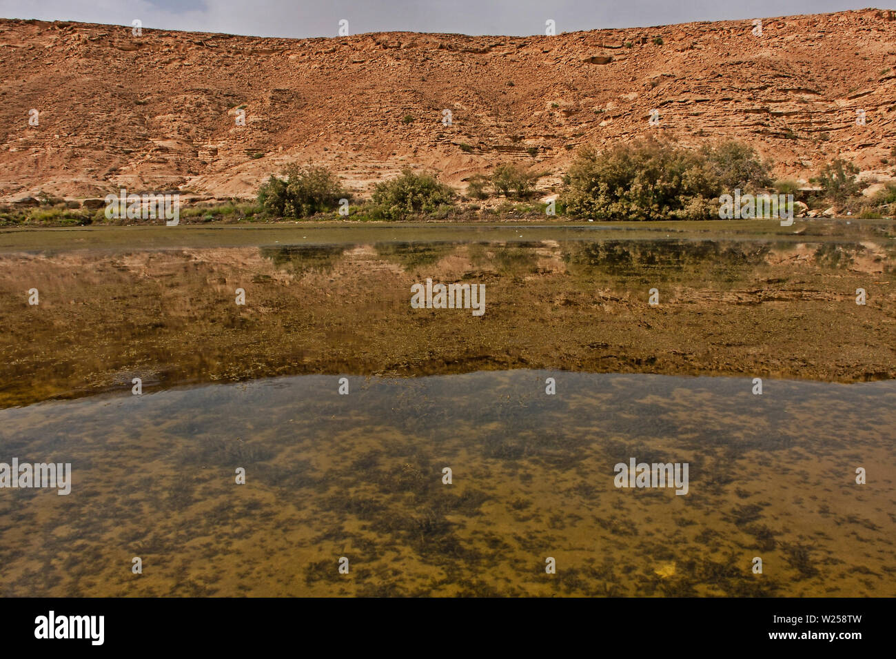 Hidden freshwater hi-res stock photography and images - Alamy