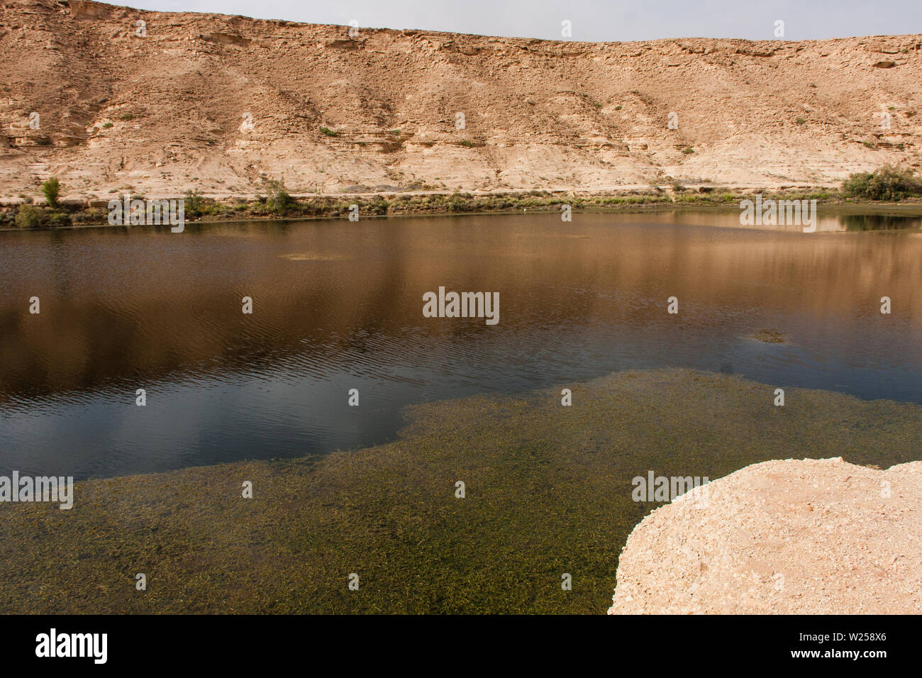 Saudi arabia landscape riyadh oasis hi-res stock photography and images ...