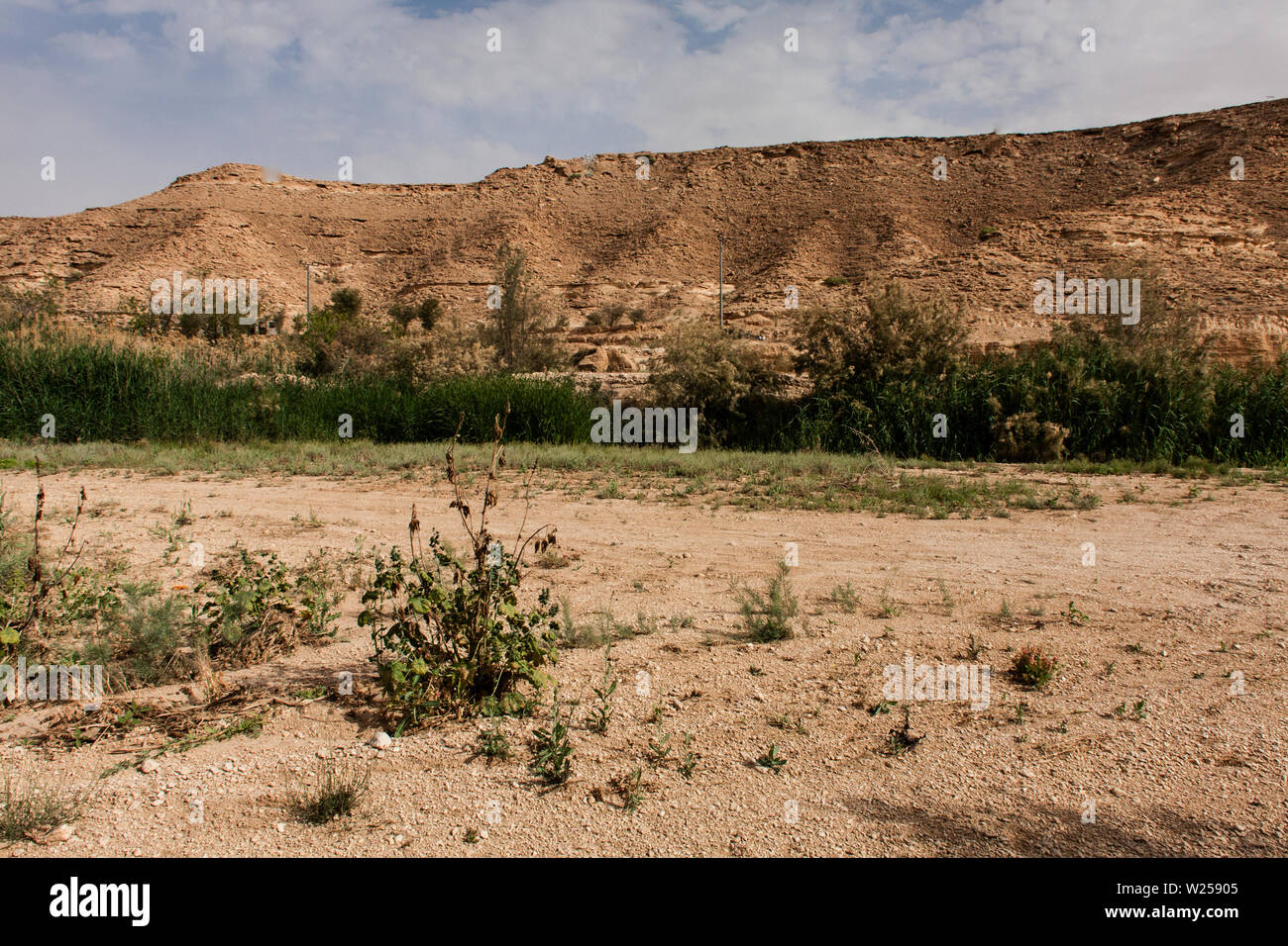 Saudi desert oasis hi-res stock photography and images - Alamy
