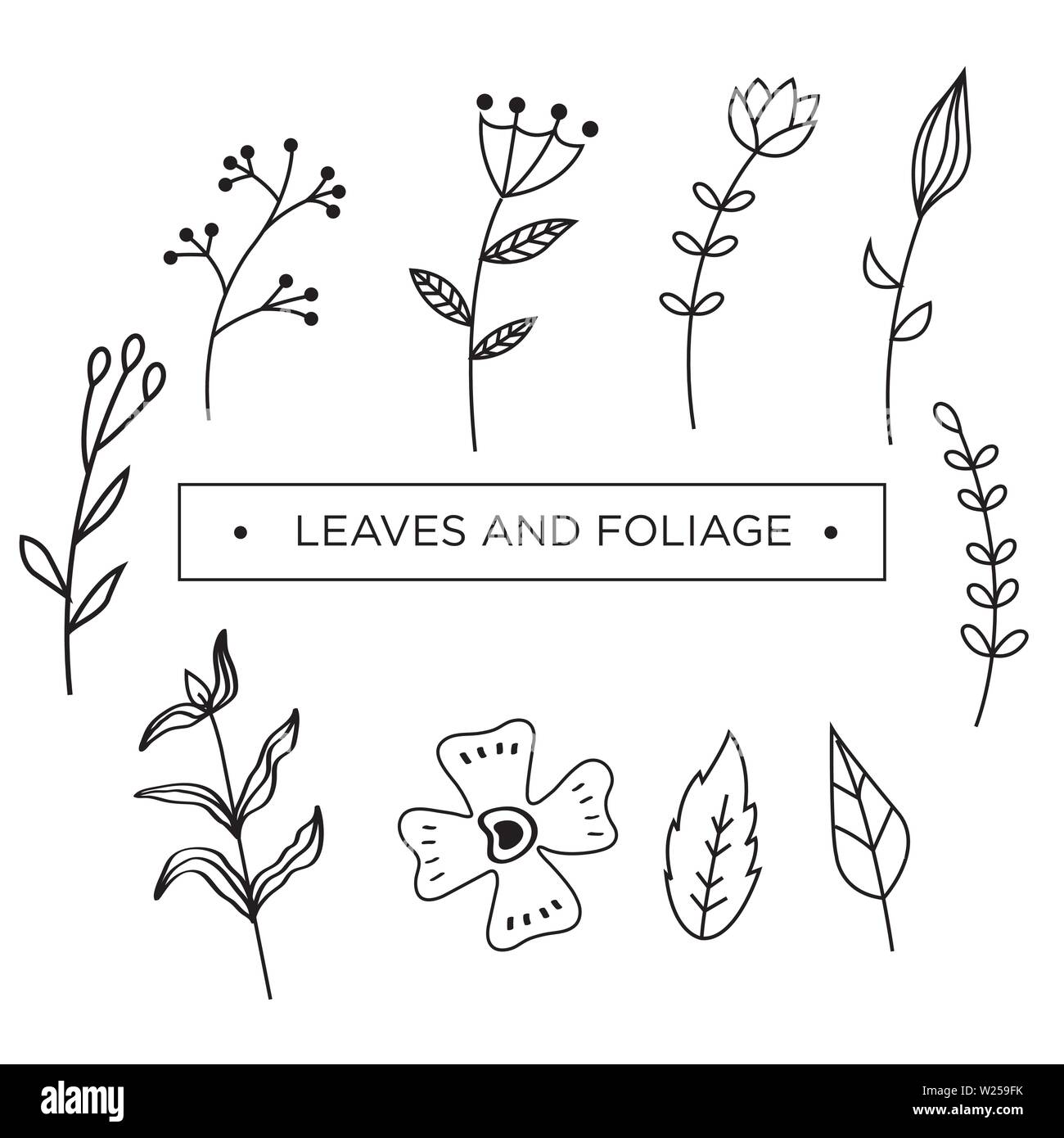 Greenery foliage Cut Out Stock Images & Pictures - Alamy