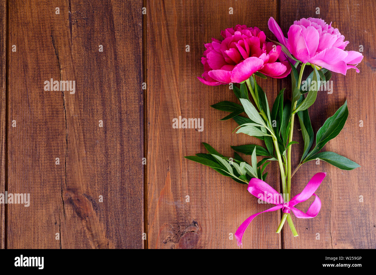 Two pink peonies hi-res stock photography and images - Alamy