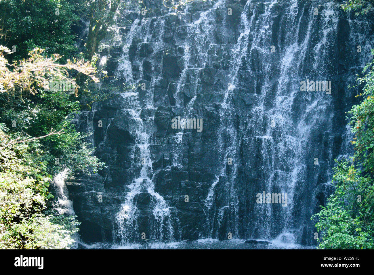 Symbols of assam hi-res stock photography and images - Alamy